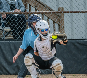 Softball Transport - Quality Assurance Travel